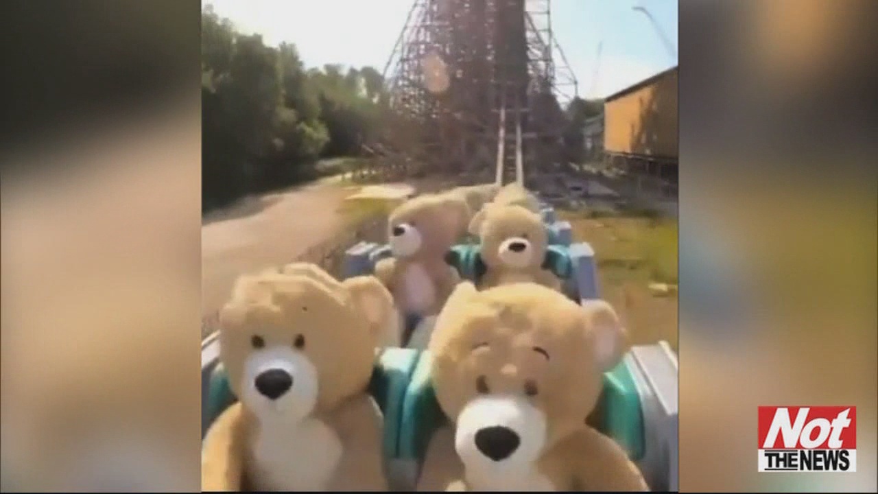 Teddy Bears Ride Roller Coaster - WFXB