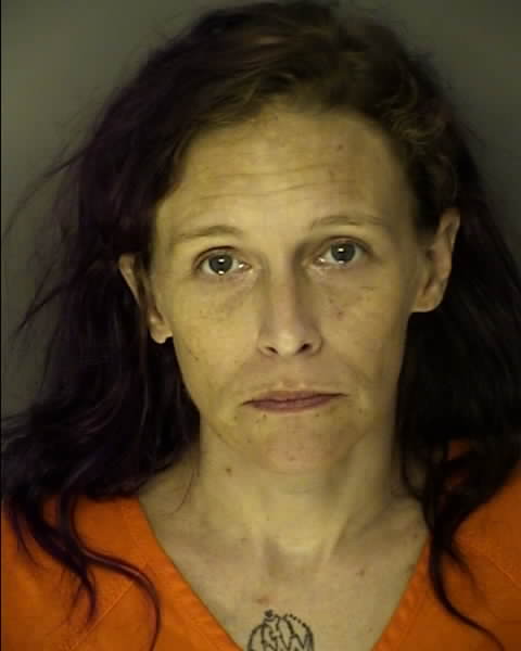 BECKER, FELICIA DEANN - Driving Under Suspension - WFXB