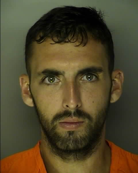 SHAVER, CHRISTIAN JAMISON - Domestic Violence 3rd Degree - WFXB