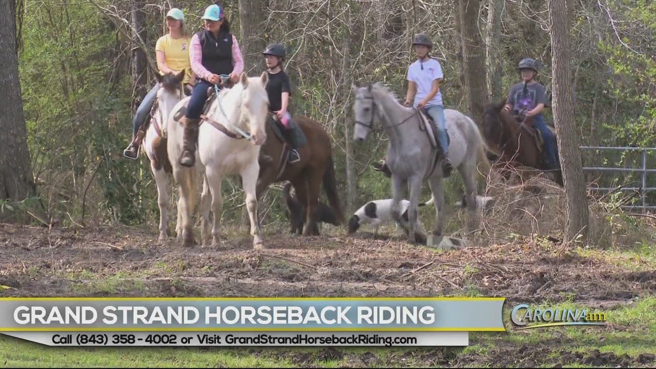 Enjoy the Outdoors at Grand Strand Horseback Riding - WFXB