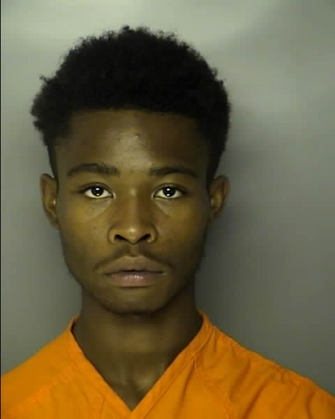 ANDERSON, MICHAEL ISAIAH - Violation of Beginners Permit - Poss. Of ...