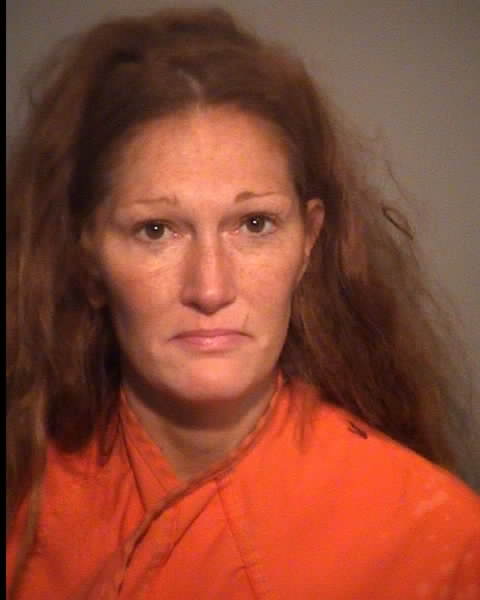 COMBS, LINDSAY ANDRIENNE - Disorderly Conduct - WFXB