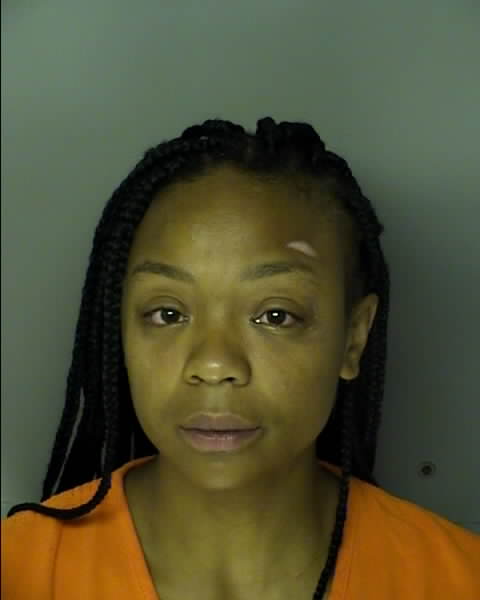HOBSON, LONDON NICOLE - Disorderly Conduct - WFXB