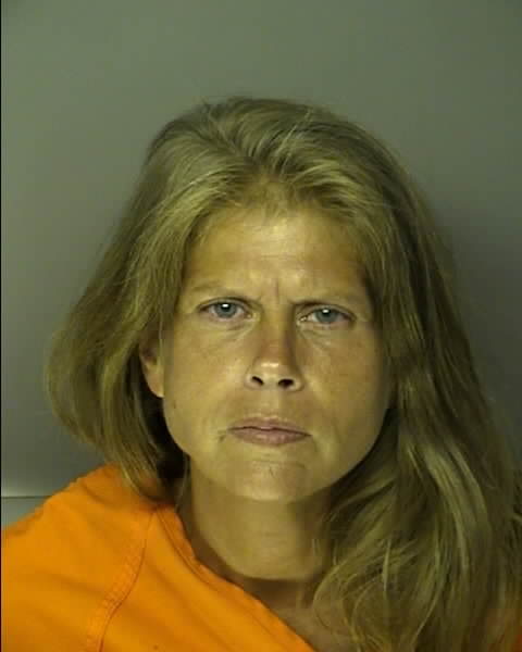 KRAMER, PAMELA KAYE - Malicious Injury To Tree, House - Trespass Upon ...