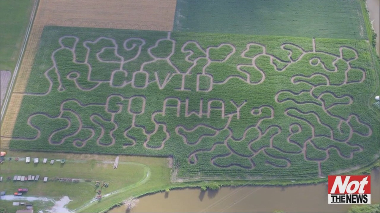 Michigan Farm Unveils Corn Maze - WFXB