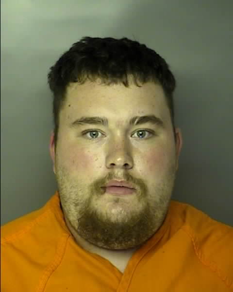 FREEMAN, BRYSON ROBERT - Domestic Violence 3rd Degree - WFXB