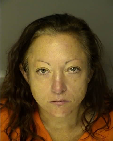 MERRITT, CARRIE PAIGE - Attempt Poss. On Gram Of Ice - Financial ...