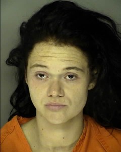 BARTON, ERICA DANIELLE - Driving Under Suspension - Unlawful To Adv ...