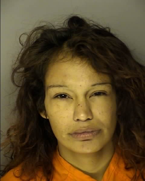 ONTIVEROS, ANA MARIE - Resisting Arrest - Trespass - Assault and ...