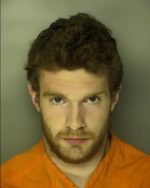 TREECE, TANNER LAYNE - Assault and Battery 3rd Degree - Domestic ...