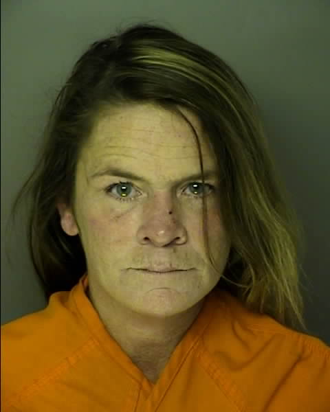 COOK, BRANDY DEANNE -No Charges Listed - WFXB