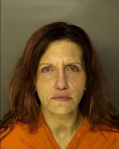 FRAZIER, BRANDI LASHAY - More Than One DL - DUI - POss. Of Meth Or ...