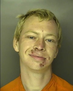 LEVICK, RICHARD LEE - Disorderly Conduct - WFXB