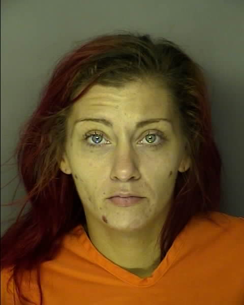 LONG, CARRIE ELIZABETH - Giving False Info To Law Enforcement - Failure ...