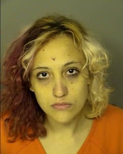 WILSON, CHELSEA SHIANNE - Unlawful Conduct Toward A Child ...