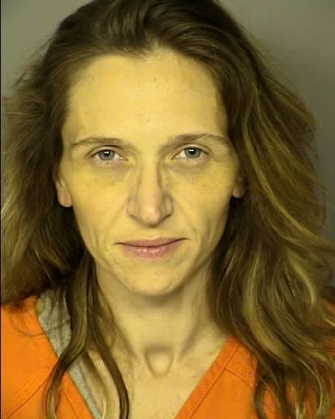 CONNER, KRISTA JEAN - Giving False Info to Law Enforcement - Simple ...