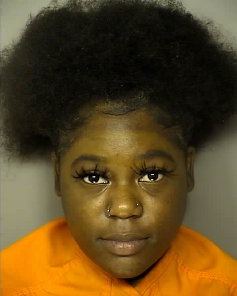 JOHNSON, CIERRA SHANEE - Disorderly Conduct - WFXB