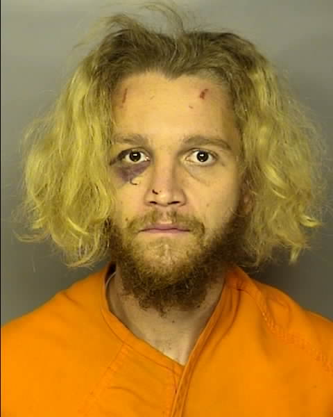 SIMMS, TIMOTHY SEAN - Domestic Violence 2nd Degree - Harassment In The ...