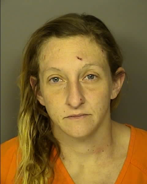 SVRLINGA, MARIA DANIELLE - Public Disorderly - Public Intoxication ...