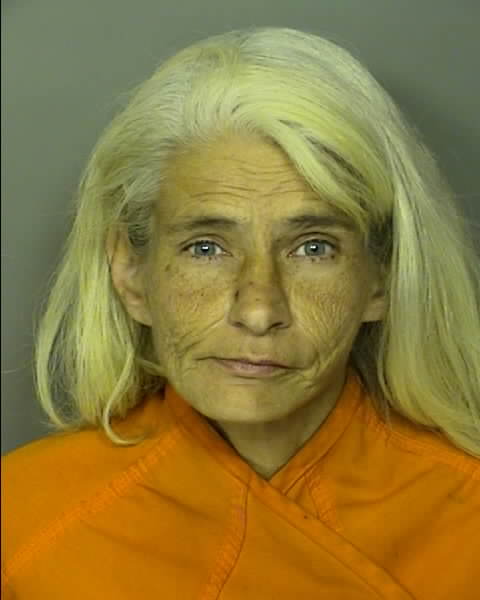 EDWARDS, KATRINA MARIE - Theft Of Electic Current - WFXB