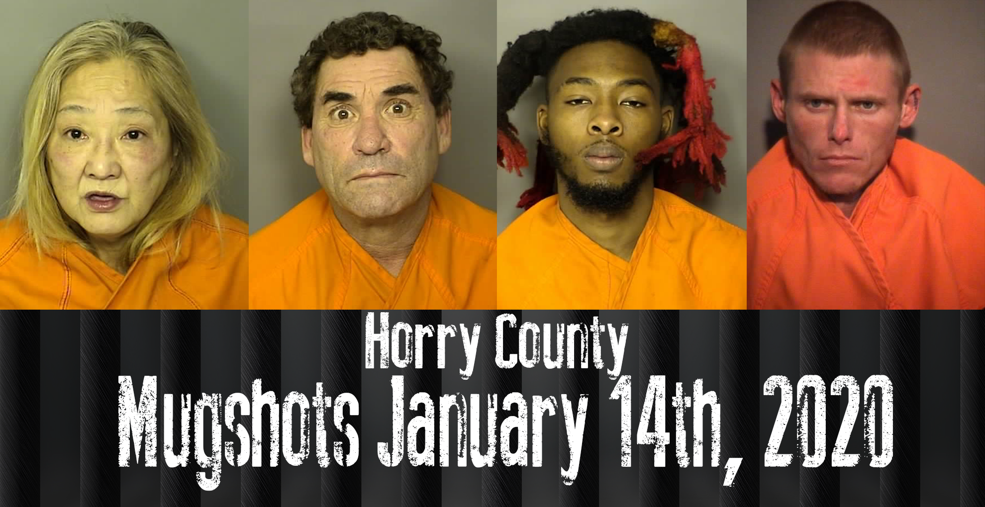 Mugshots January 14th, 2021 - WFXB