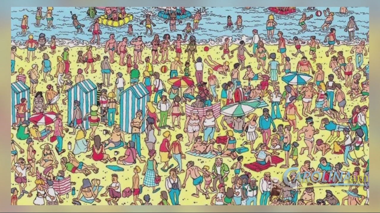 Can You Find Bernie at the Beach? - WFXB