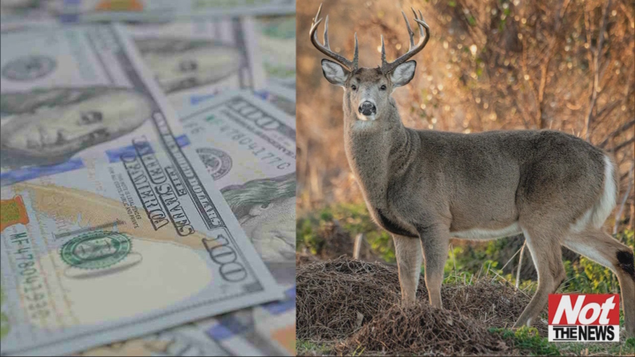 NC Man Goes From Bucks to Bucks - WFXB