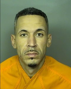 LOCKLEAR, TERRY - Domestic Violence 3rd Degree - WFXB