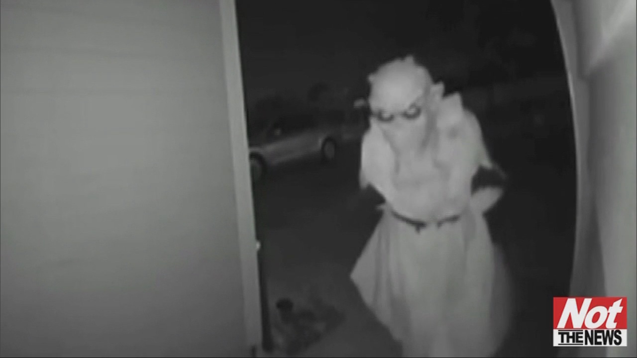 An Extraterrestrial Porch Pirate - WFXB
