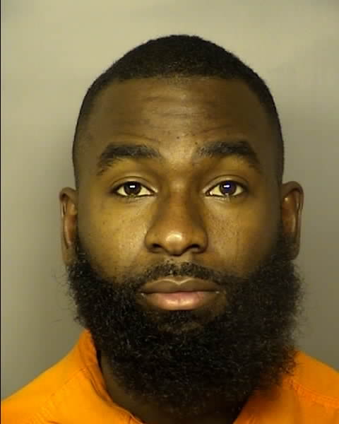 ALSTON, TIMOTHY JEROME - Domestic Violence 2nd Degree - Simple Larceny ...