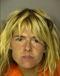 DEMEO, JACLYN NICOLE - Driving Under Suspension - Public Disorderly ...
