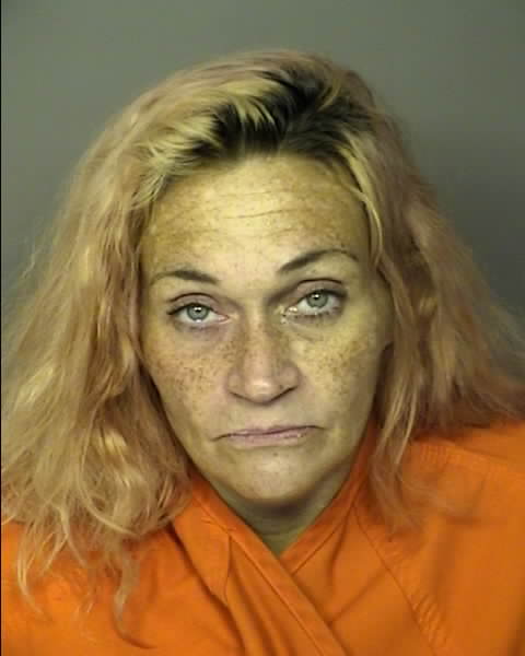 PRICE, ALISON BETH - VIOLATION OF PROBATION - WFXB