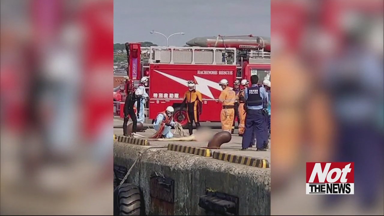 Rescue Crews In Japan Save Blowup Doll Mistaken For Drowning Woman Wfxb