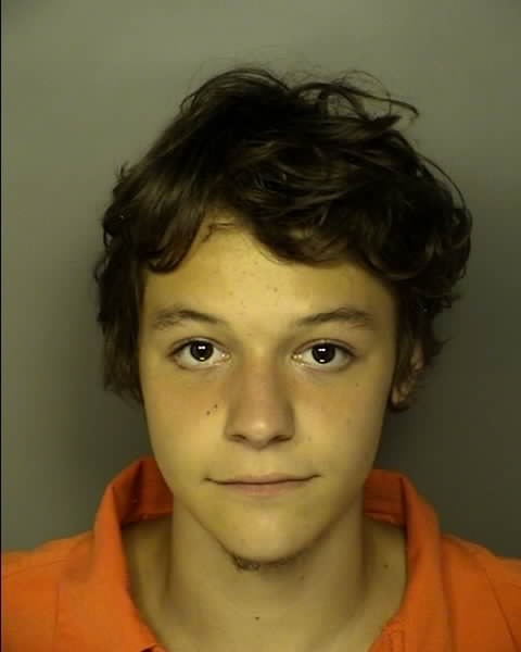 HEMBREE, DANIEL ALEXANDER - Murder - WFXB