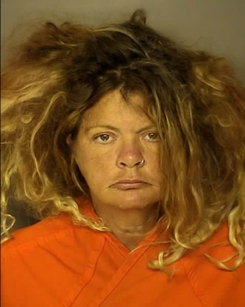 LIVINGSTON HILL, TAMMY LYNN - INDECENT EXPOSURE - WFXB