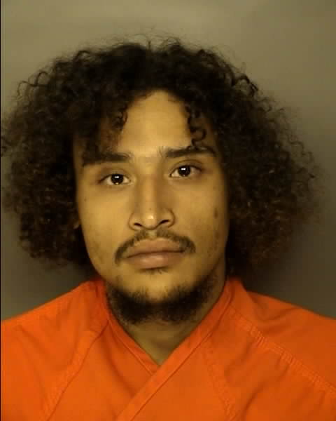 FLOWERS, JORDAN LEE - UNLAWFUL CARRYING OF PISTOL - WFXB