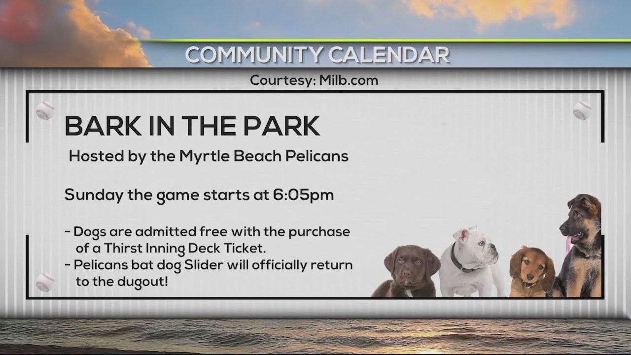 Local Events on the Grand Strand this Weekend! - WFXB