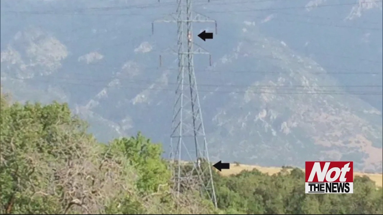 Police Issue Warning Against Hanging Hammocks on Power Lines - WFXB