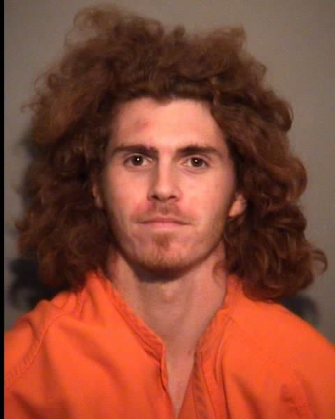 JANAWSKY, COLLIN ANDREW - FINAN TRANS CARD FRAUD VALUE $500 OR LESS IN ...