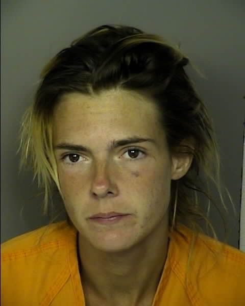 DEMEO, JACLYN NICOLE - SHOPLIFTING - WFXB