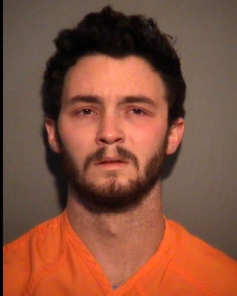 WALLER, NATHAN WAYNE - ORDINANCE : WEAPONS - DISCHARGE OF FIREARMS ...