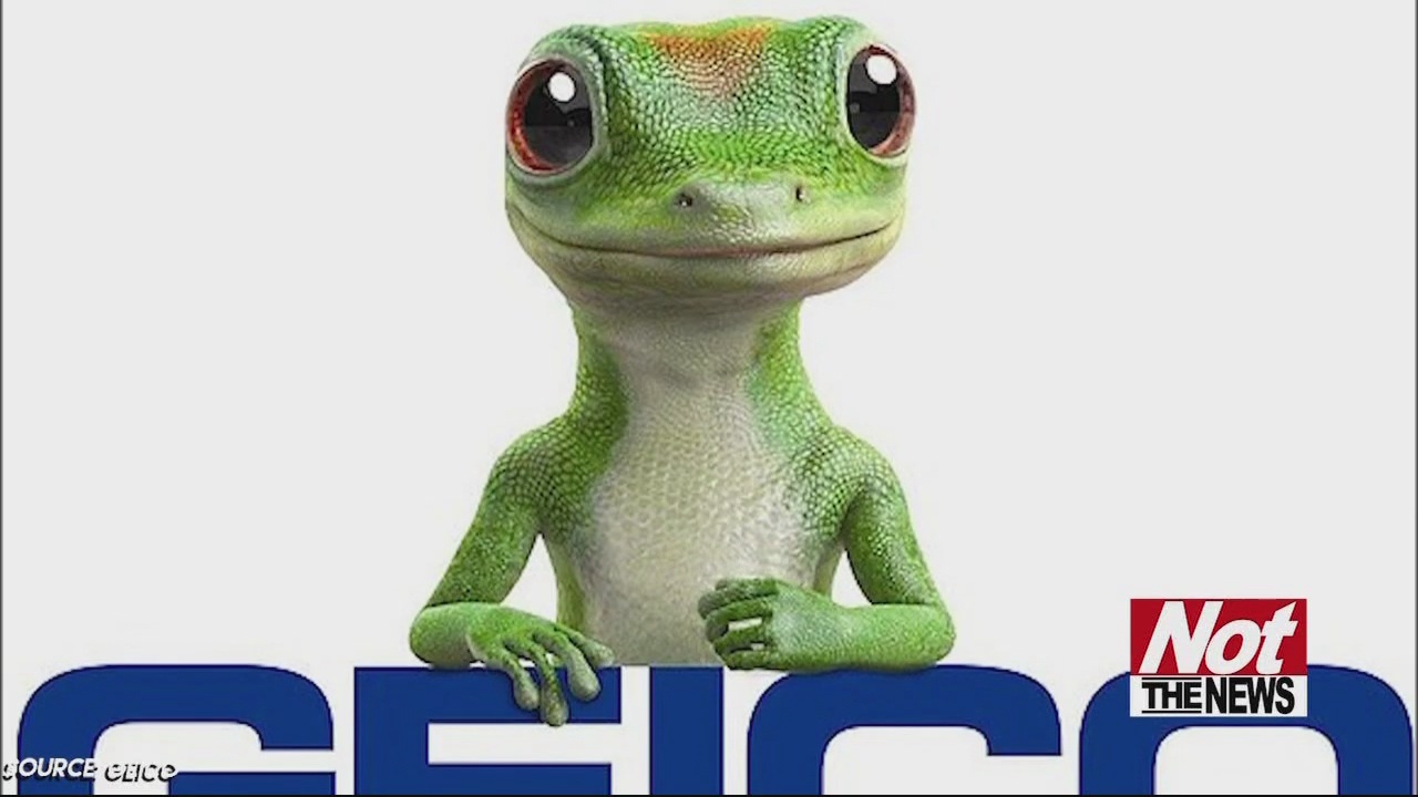 Woman Sues Geico After Man Gives Her HPV in His Car - WFXB