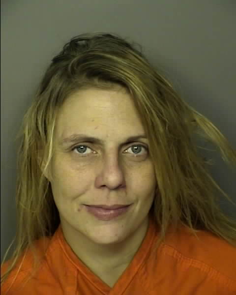 GOODMAN, MELODY FAWN VIAR - PUBLIC DISORDERLY: PUBLIC INTOXICATION ...