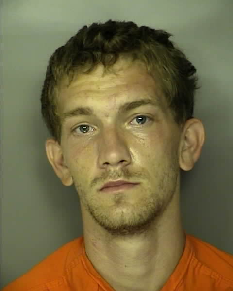 LEVINER, EDMUND TYLER - FINAN TRANS CARD FRAUD *2 BURGLARY - POSSESTION ...