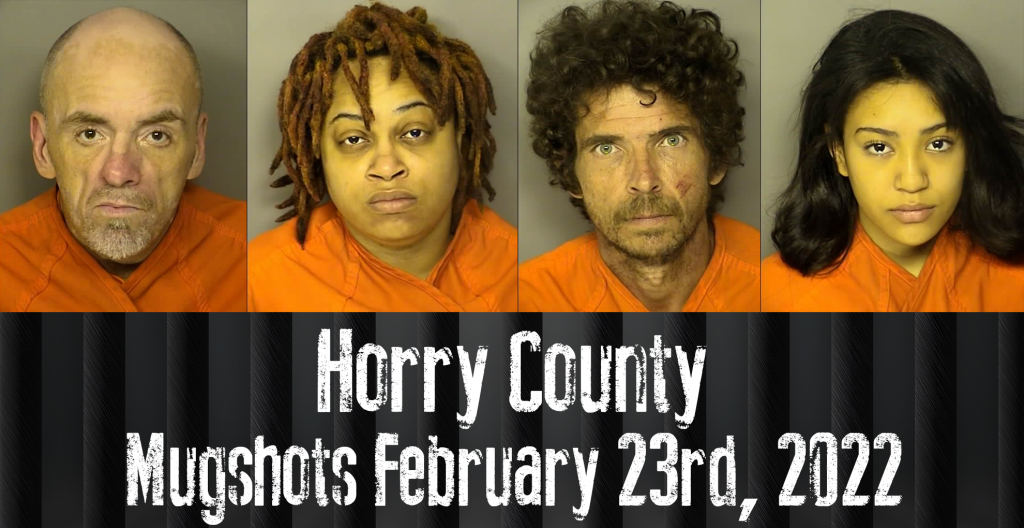 Horry County Mugshots February 23rd 2022 Wfxb