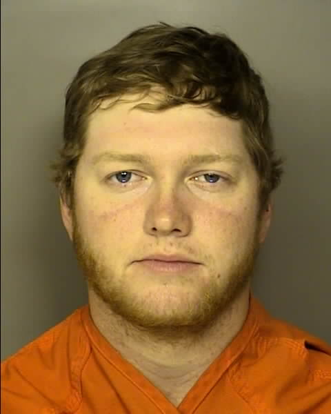 LEWIS, CHASE DILLION - MALICIOUS INJURY (DAMAGE) TO PERSONAL ...