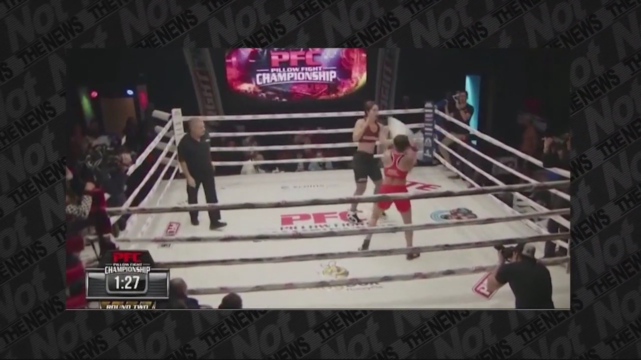 Pillow Fighting Is Moving Out Of The Bedroom And Into The Boxing Ring ...