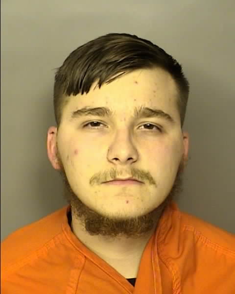 BLAKE, CAMERON JAMES = FAILURE TO STOP FOR A BLUE LIGHT 1ST OFFENSE ...