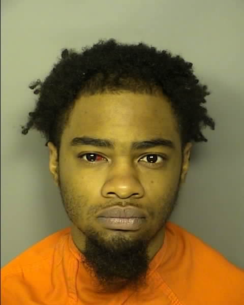 LESTER, RANDOLPH LAMONT - DOMESTIC VIOLENCE 2ND DEGREE - WFXB