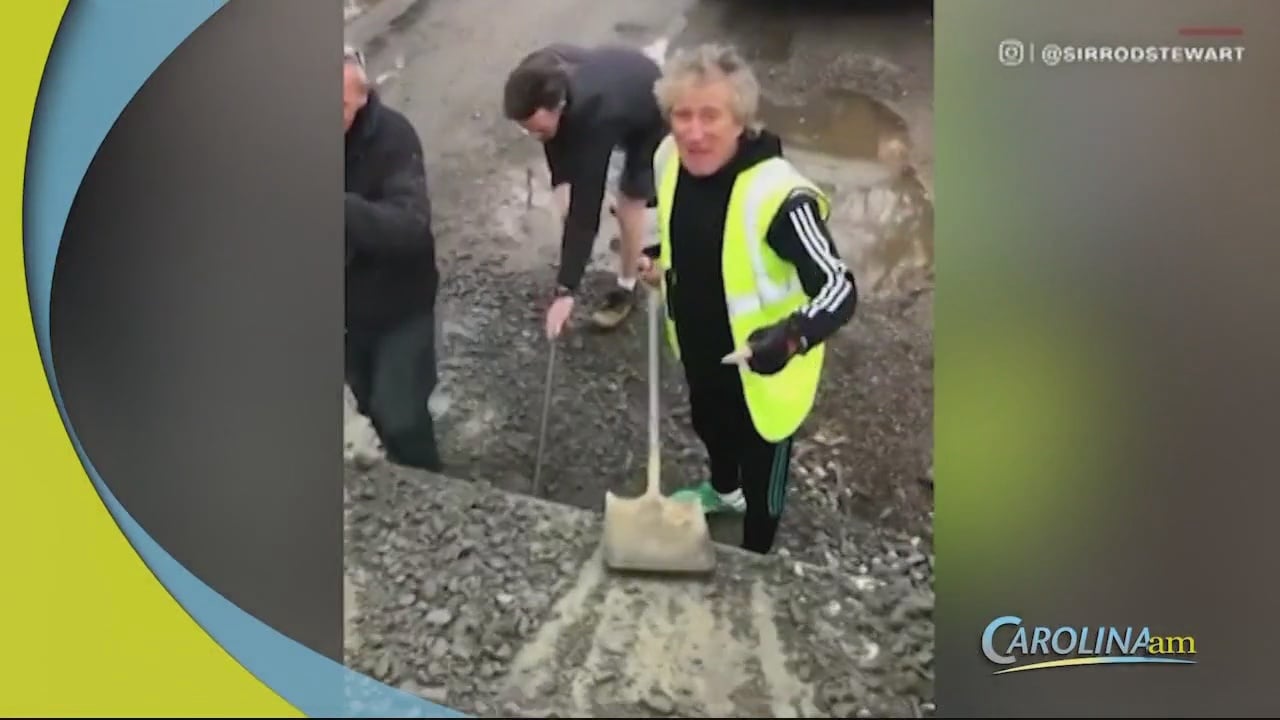 Rod Stewart Take Matters into His Own Hands and Fills Neighborhood ...